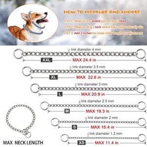 TagME Chain Dog Choke Collar, Weather Proof Metal Slip Collars Training Choker Collar for Puppy Small Dogs Breed (1 Pack)