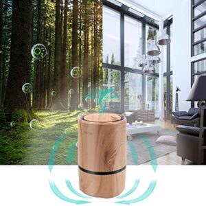 WSTA Air Purifier with True Hepa Filter W050S+W050T Bundle