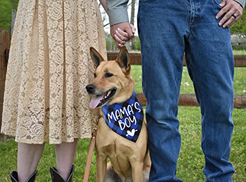 YHTWIN Mama's Boy Blue Plaid Cotton Pet Dog Bandanas, Gender Reveal Photo Pet Scarf Scarves, Dog Birthday Party Decorations Accessories Props for Pet Dog Master Lovers Gift