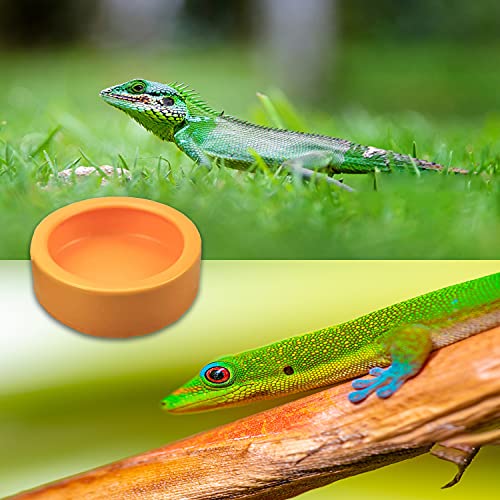 2 Pack Worm Dish Reptile Food Bowl Bearded Dragon Ceramic Bowl with Feeding Tongs (Yellow-Medium)