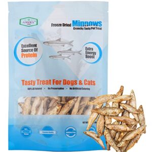 amzey minnows - 3.5 oz freeze dried - 100% natural premium cat treat, dog treat - freeze dried minnows for cats - freeze dried minnows for dogs - bulk package minnows (1.6 "to 2.8" length each)