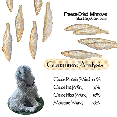 Amzey Minnows - 3.5 oz Freeze Dried - 100% Natural Premium Cat Treat, Dog Treat - Freeze Dried Minnows for Cats - Freeze Dried Minnows for Dogs - Bulk Package Minnows (1.6 "to 2.8" Length Each)