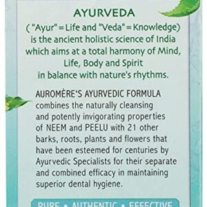 Ayurvedic Herbal Toothpaste in a Jar, Fresh Mint (4.16 oz) (Pack of 1 (4.16 oz))