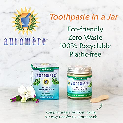 Ayurvedic Herbal Toothpaste in a Jar, Fresh Mint (4.16 oz) (Pack of 1 (4.16 oz))