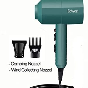 IONE Dog Cat Hair Dryer,Professinal Double Force Grooming Blower Dryer for Medium/Small Pets,IEC & UL Certificated (Deep Green)