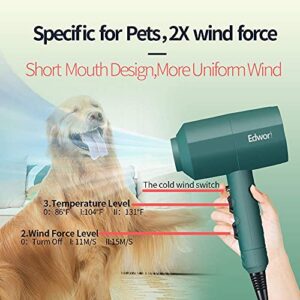 IONE Dog Cat Hair Dryer,Professinal Double Force Grooming Blower Dryer for Medium/Small Pets,IEC & UL Certificated (Deep Green)