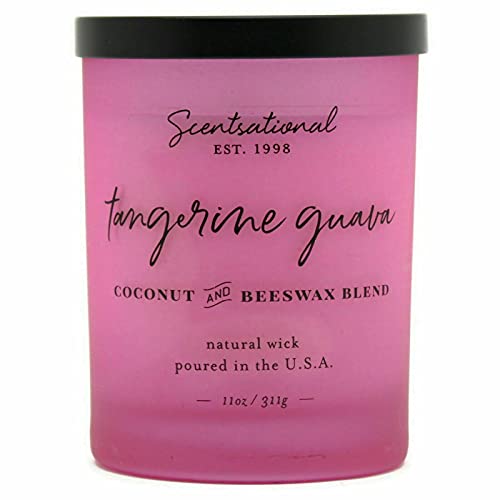 Scentsational Candles Scentsational Coconut Beeswax Scented Candle 11oz Frosted Pink - Tangerine Guava