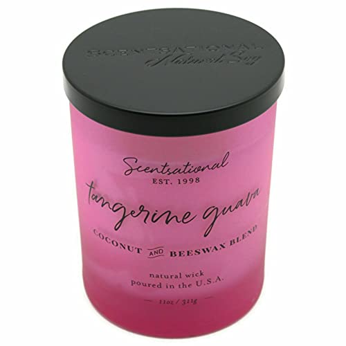 Scentsational Candles Scentsational Coconut Beeswax Scented Candle 11oz Frosted Pink - Tangerine Guava