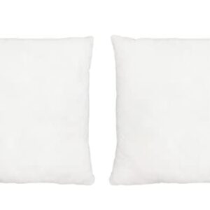 Hausattire Throw Pillow Insert 12x12 Inches - Set of 2, Premium White Pillows for Bed and Couch