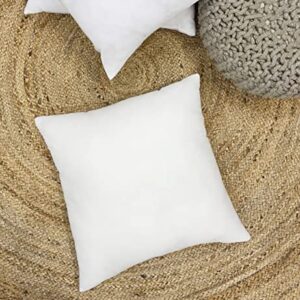 Hausattire Throw Pillow Insert 12x12 Inches - Set of 2, Premium White Pillows for Bed and Couch