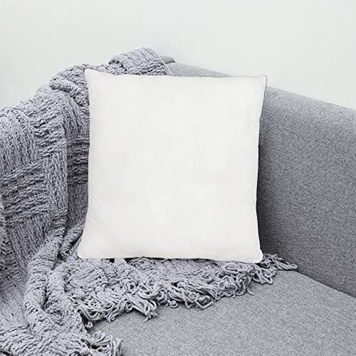 Hausattire Throw Pillow Insert 12x12 Inches - Set of 2, Premium White Pillows for Bed and Couch