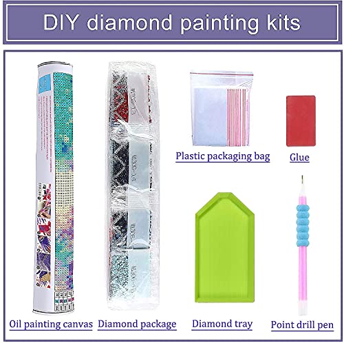 eniref 5D Diamond Painting Kits for Adults Paint with Diamonds Full Round Drill 5D Diamond Dots Craft Diamond Art Kits - for Home Wall Decor and Adults Kids DIY Gift(Gnome 16 X 12 inch)