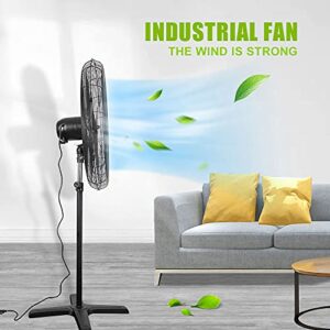 KAPAS Industrial Pedestal Fans, Commercial Oscillating Fan Made by Heavy Duty Metal Structure and Blade, Adjust Height, 3- Speed Control Suitable to Warehouse, Shop, Garage, and Workspace. (30'')