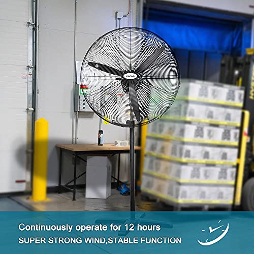 KAPAS Industrial Pedestal Fans, Commercial Oscillating Fan Made by Heavy Duty Metal Structure and Blade, Adjust Height, 3- Speed Control Suitable to Warehouse, Shop, Garage, and Workspace. (30'')