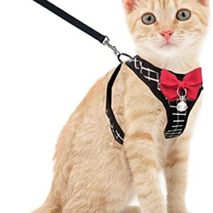 BLUWTE Cat Harness,Cat Harness and Leash, Breathable Dog Harness,Pet Harness,Adjustable Mesh Vest Harness for Puppy Cat Rabbit (Black, S)