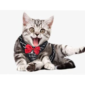 BLUWTE Cat Harness,Cat Harness and Leash, Breathable Dog Harness,Pet Harness,Adjustable Mesh Vest Harness for Puppy Cat Rabbit (Black, S)