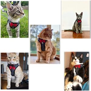 BLUWTE Cat Harness,Cat Harness and Leash, Breathable Dog Harness,Pet Harness,Adjustable Mesh Vest Harness for Puppy Cat Rabbit (Black, S)