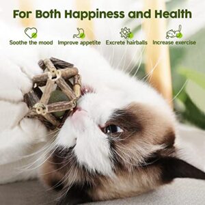 Potaroma Catnip Toys, 3Pcs Cat Toys Natural Silvervine Stick Cage Balls & Bell Ball for Indoor Cats, Kitten Cleaning Teeth Molar Tools Matatabi Cat Chew Toy