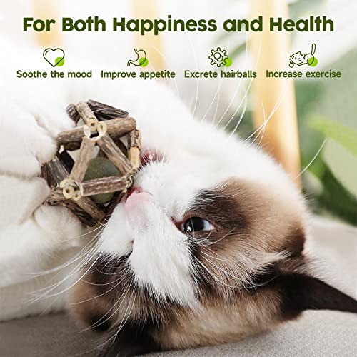 Potaroma Catnip Toys, 3Pcs Cat Toys Natural Silvervine Stick Cage Balls & Bell Ball for Indoor Cats, Kitten Cleaning Teeth Molar Tools Matatabi Cat Chew Toy