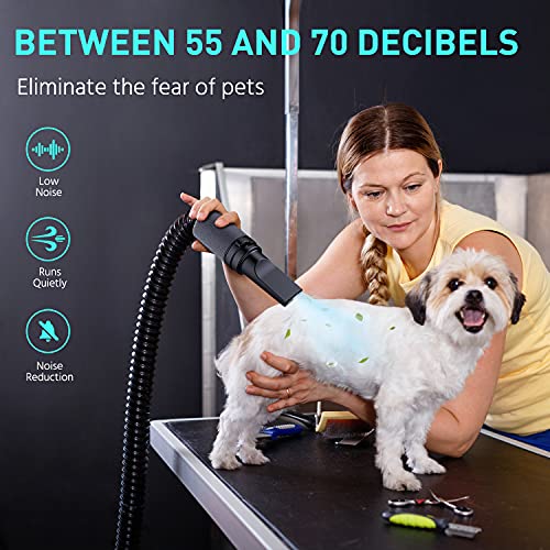 Dog-Blow-Dryer, 4.3HP/3200W Pet Grooming Dryer with Adjustable Speed and Temperature Control Pet Dryer, Dog Hair Dryer with 4 Nozzle