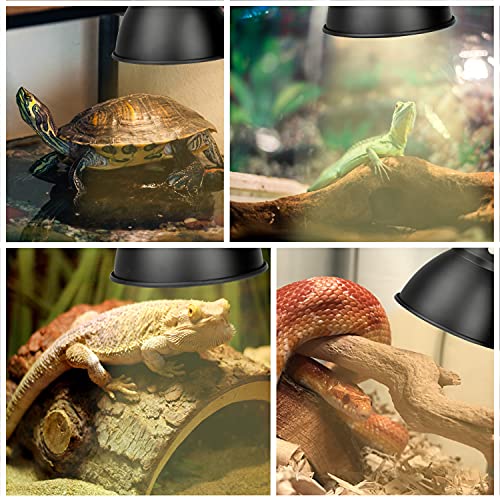 Kadako ® Reptile Lamp Stand - Adjustable Metal Heat Lamp Stand and Light Dome Support Fixture for Terrarium Enclosure, Aquarium and Tank - Includes Our Feeding Accessories Kit