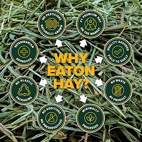 Eaton Pet and Pasture Naturally Grown, Premium, 1st Cut Blend, Western Timothy Hay Orchard Blend, Small Animal Food, Sustainable, Eco-Friendly, Farmer-Owned, 6LB-Box.