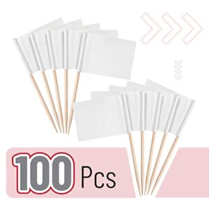 Mr. Pen- Blank Toothpick Flags, White, 100 Pcs, Cheese Markers, Cheese Labels for Charcuterie Board, Charcuterie Labels, Cheese Board Labels, Charcuterie Board Labels, Buffet Labels, Flag Toothpicks