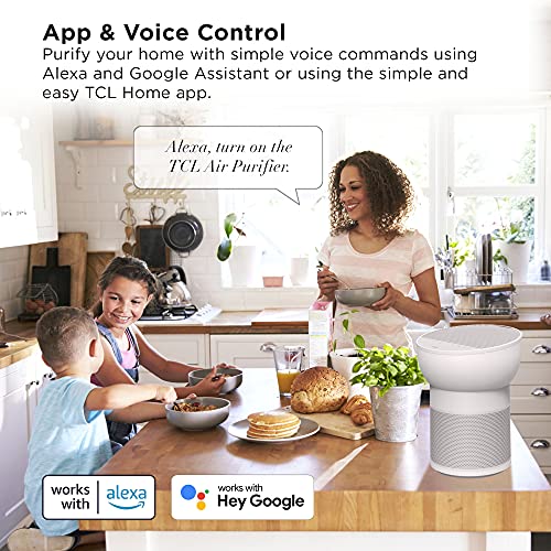 TCL Breeva A2 Smart Air Purifier with 4-Stage Clean, True HEPA (H13), Removes 99.97% of Dust/Bacteria/Odors & More, App & Voice Control, Auto Shield, Quiet, White (A215W)