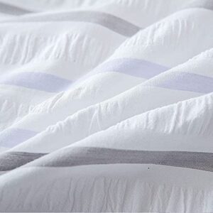 Amazon Brand – Pinzon Seersucker Duvet Cover Set,100% Cotton Yarn Dyed Seersucker Duvet Cover Set,3 Pieces Textured Stripe Bedding Set - Multi Queen