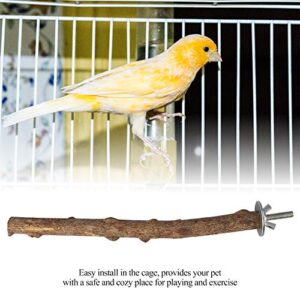 Zerodis Paw Grinding Stick, Hanging Chewing Cage Toy Bird Cage Bird Stand Perch for Bird Macaw African Greys Budgies Parakeet Cockatiels Conure Lovebird(1.5~2.5 * 25CM)