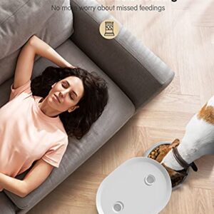 Faroro Automatic Cat Feeders, 4L Cat Dry Food Dispenser, Automatic Pet Feeders for Cats and Dogs with Portion Control, Schedule 1-6 Meals per Day, 10s Customized Voice Recording, Dual-Power Supply