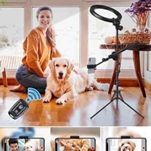 Selfie Ring Light with Stand and Phone Holder with Tripod Stand & Cell Phone Holder,Overhead Camera Phone Mount LED Halo Circle Lights Phone Stand for Video Recording/Live Stream/Vlog/YouTube/TikTok