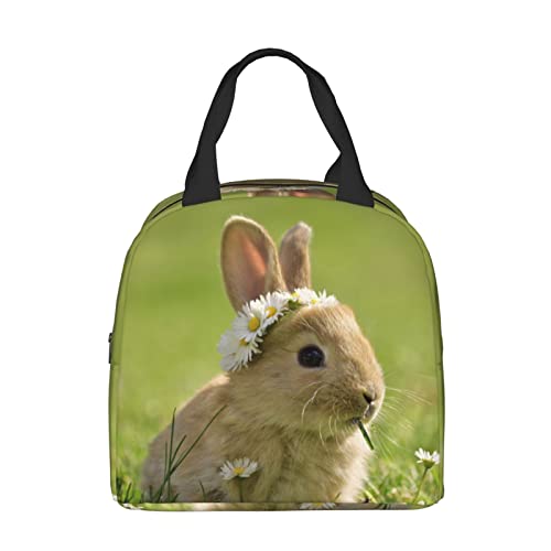 PrelerDIY Cute Rabbit Lunch Box - Insulated Lunch Bags for Kids Boys Girls Reusable Lunch Tote Bags, Perfect for School/Camping/Hiking/Picnic/Beach/Travel