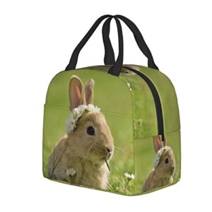 PrelerDIY Cute Rabbit Lunch Box - Insulated Lunch Bags for Kids Boys Girls Reusable Lunch Tote Bags, Perfect for School/Camping/Hiking/Picnic/Beach/Travel