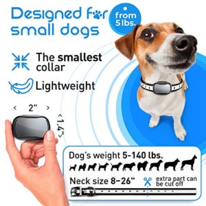 Extra Small Size Dog Training Collar with Remote for Small Dogs 5-15lbs and Puppies with Shock - Waterproof & 1000 Ft Range