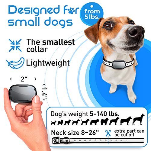 Extra Small Size Dog Training Collar with Remote for Small Dogs 5-15lbs and Puppies with Shock - Waterproof & 1000 Ft Range