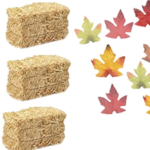 Greenbrier Mini Hay Bales for Autumn Harvest Craft, Decoration and Display, Pack of 4