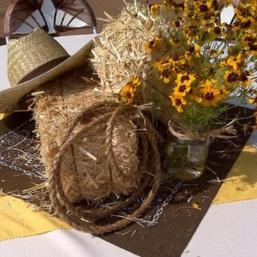 Greenbrier Mini Hay Bales for Autumn Harvest Craft, Decoration and Display, Pack of 4