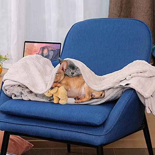 Nelaukoko Fleece Blanket Fuzzy Plush Throw Blanket 50" x 60", Super Soft Fluffy Lightweight Sofa Blanket Comfy Microfiber Flannel Blankets for Couch, Bed, Air-Conditioned Rooms (Beige)