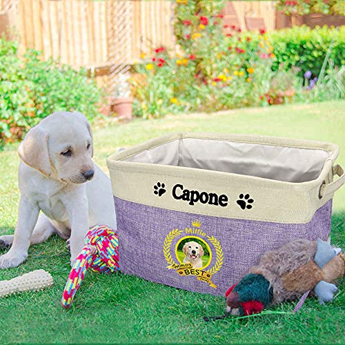 Custom Name Collapsible Dog Toy Storage Basket Bin World's Best Dog Staffie Foldable Pet Toy Box Closet Shelf Baskets Organizer for Bedroom Home Dog Cat with Handles Pink