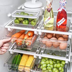 J2K Refrigerator Organizer Bin | Retractable Fridge Storage Drawer Organizer | 1-4 Adjustable Partition Fruits, Vegetables, Egg Storage Container | Fits Fridge Shelf Lip Under 1.5 Cm