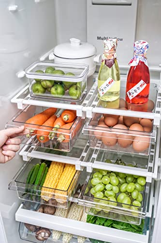 J2K Refrigerator Organizer Bin | Retractable Fridge Storage Drawer Organizer | 1-4 Adjustable Partition Fruits, Vegetables, Egg Storage Container | Fits Fridge Shelf Lip Under 1.5 Cm