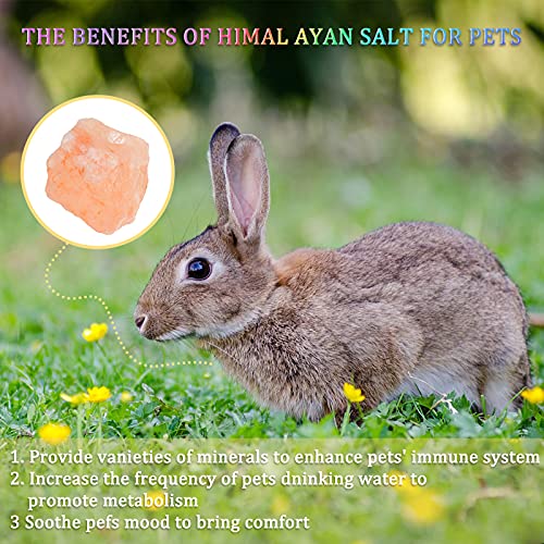 12 Pieces Himalayan Small Pets Lick Salt Block on Rope Set Including 6 Colorful Pet Chew Rattan Balls and 6 Himalayan Salt Lick Small Pet Mineral Salt Chew Treat for Guinea Pig (Mixed Colors)