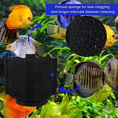 Premium Course Aquarium Sponge Filter - For Greater Intervals Between Cleaning! - Fits 10-75 Gallon Tanks - Fish Tank Sponge Filter - Compare To ATI Pro or Aquarium Co-Op Filter - High Quality