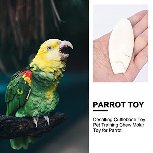 30pcs Parrot Training Toys Cuttlefish Bone Pet Training Chewing Molar Toy turtle calcium