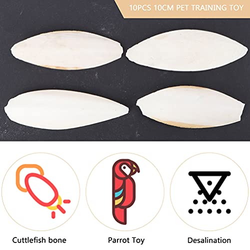 30pcs Parrot Training Toys Cuttlefish Bone Pet Training Chewing Molar Toy turtle calcium