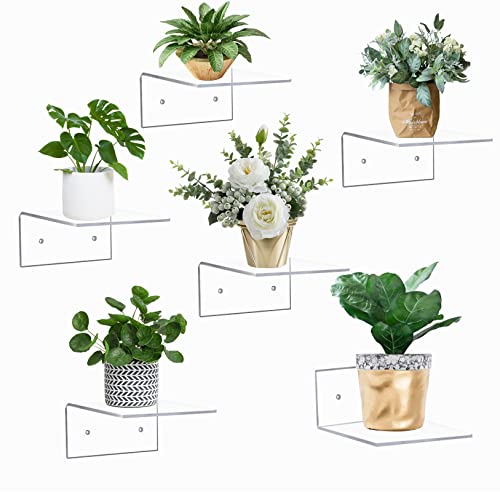 6 Pack Small Acrylic Floating Shelves for Wall, Wall Mounted Hanging Display Shelves for Plants, Funko Pop Figures, Adhesive Shelf for Bedroom, Picture Toy Clear Display Shelf