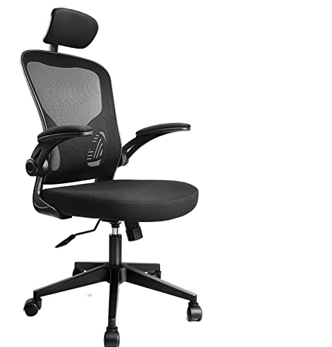 HARBLAND Ergonomic Office Chair, Home Office Desk Chair High Back Chair with Adjustable Headrest Backrest Armrest for Home Office Computer Desk (Black)