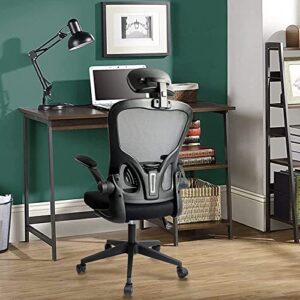 HARBLAND Ergonomic Office Chair, Home Office Desk Chair High Back Chair with Adjustable Headrest Backrest Armrest for Home Office Computer Desk (Black)