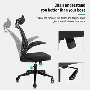 HARBLAND Ergonomic Office Chair, Home Office Desk Chair High Back Chair with Adjustable Headrest Backrest Armrest for Home Office Computer Desk (Black)